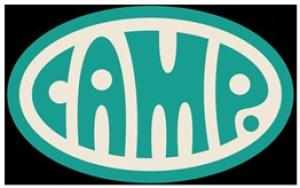 Experiential Retailer CAMP Makes Midwest Debut in Chicago with Doodles ...